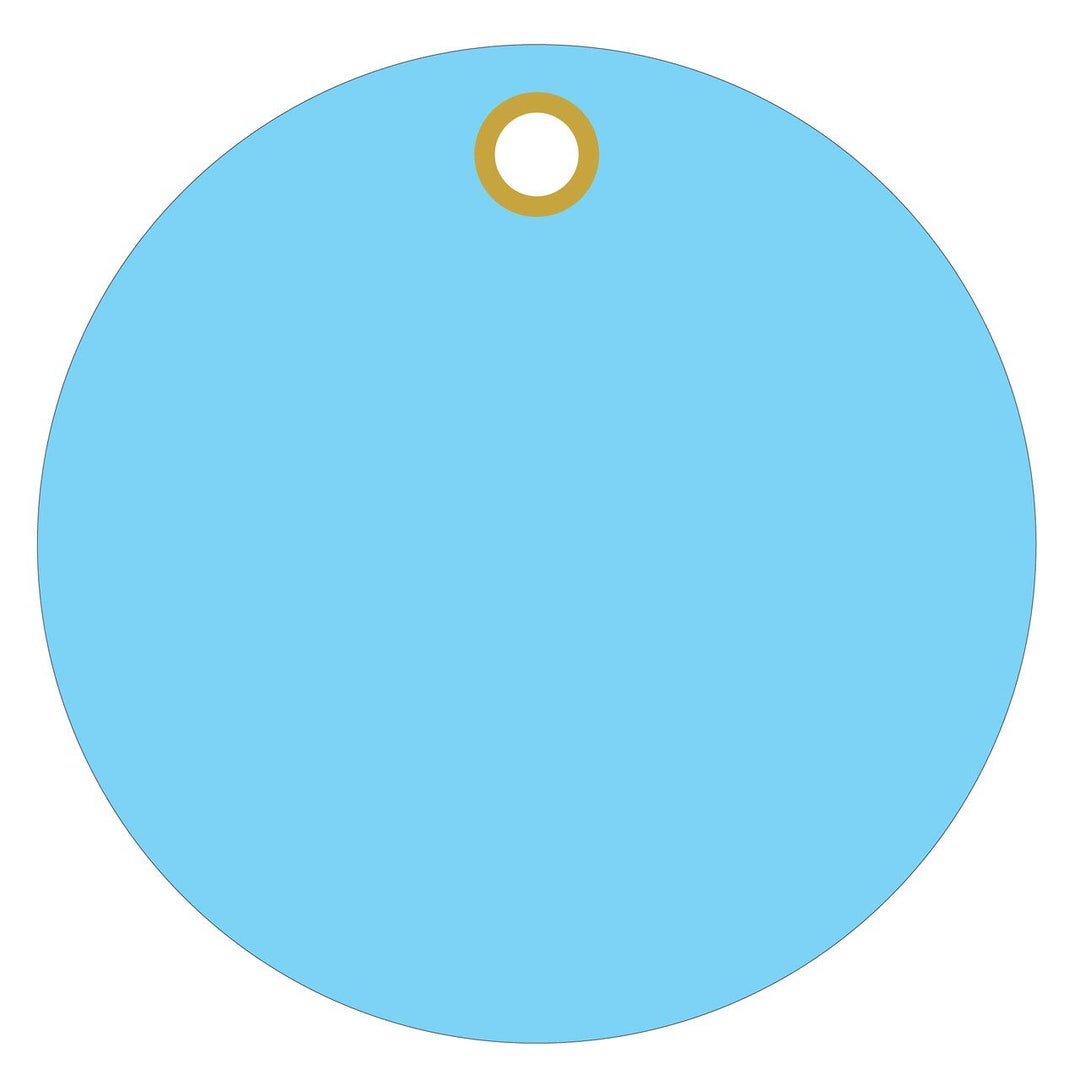 Light Blue Plastic 3" Circle Tags Metal Eyelet 100/order (15pt Plastic ...