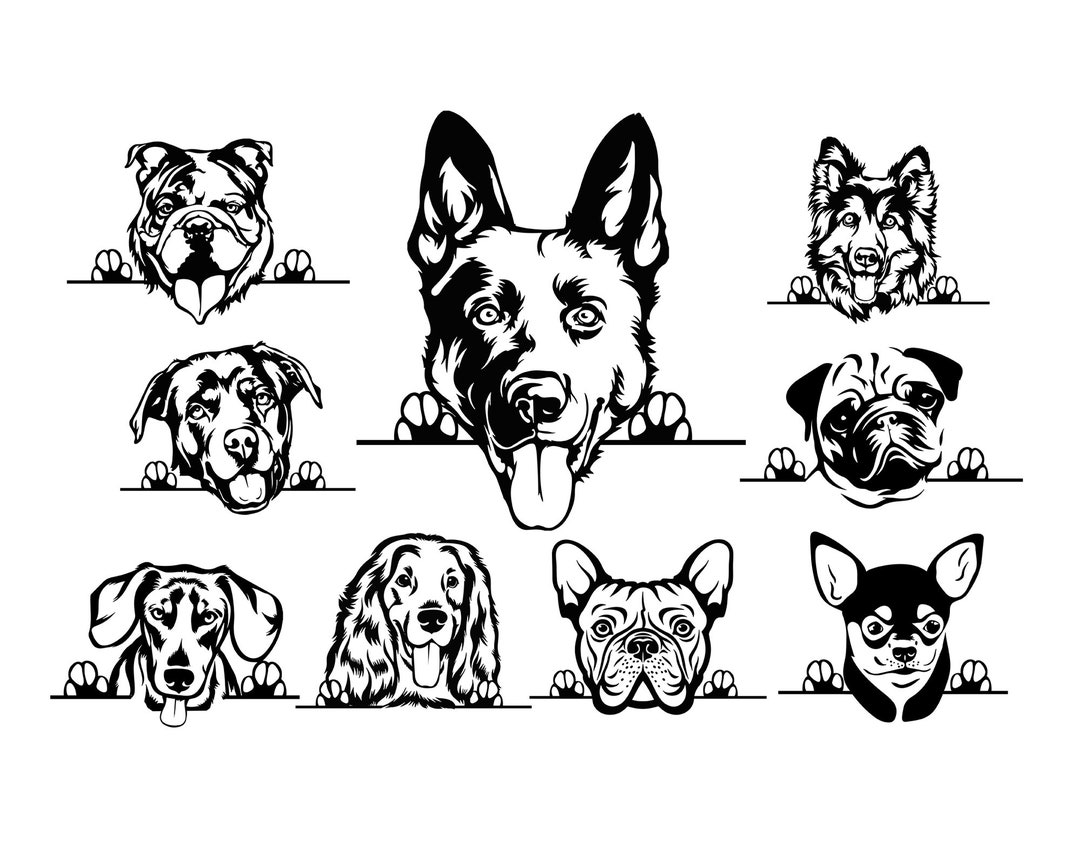 Razas de perros / 15 razas de perros SVG PNG Bundle / Cara de - Etsy México