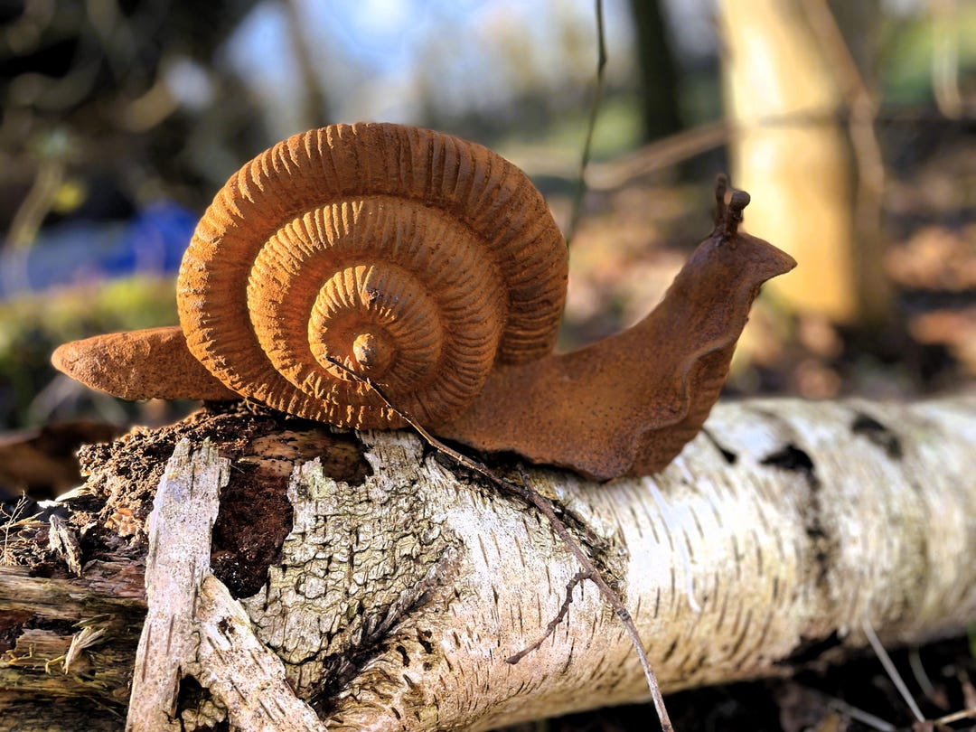 Large Cast Iron Snail - Snail With Snail Shell - Garden Decoration - Etsy