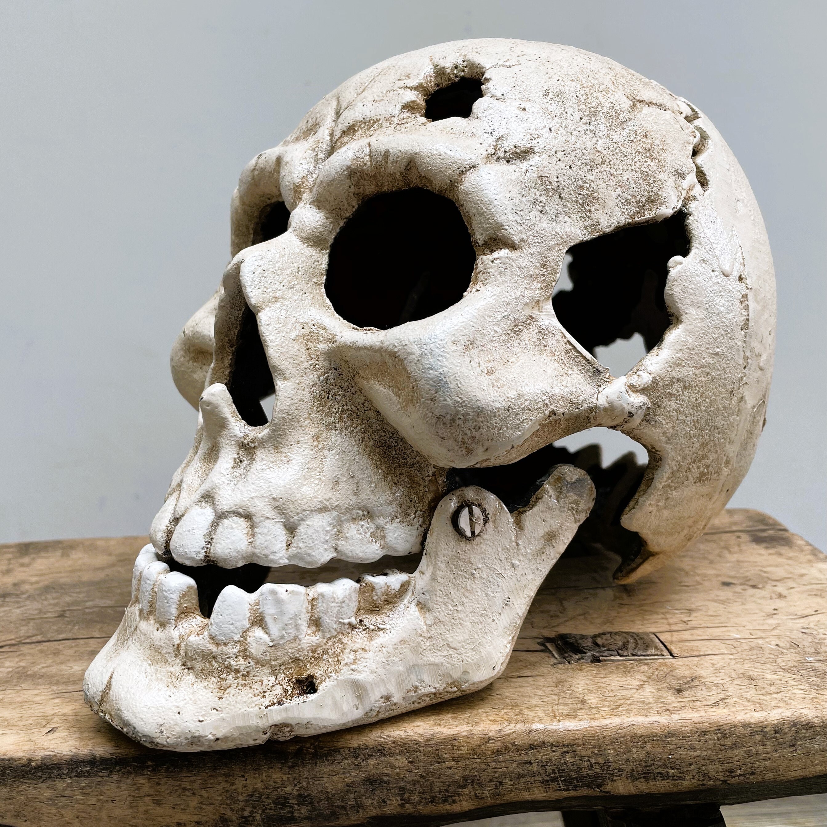 Cast Iron Human Skull Life-size - Etsy