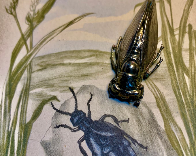 Antique Beetle Button, Insect, Bug Button - Etsy