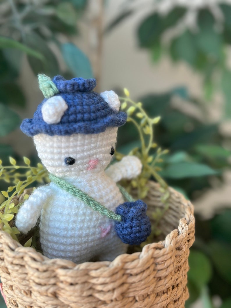 Boppy the Blueberry Cat Amigurumi Crochet Pattern - Etsy