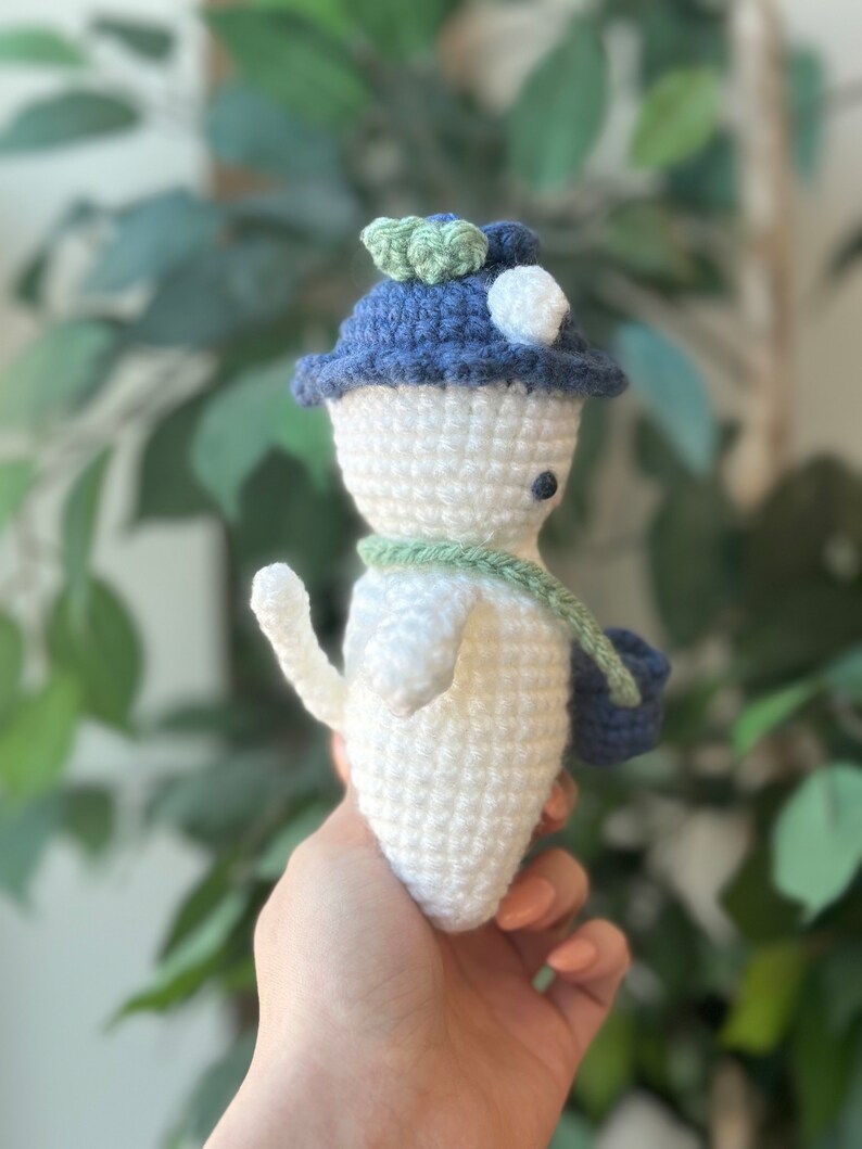Boppy the Blueberry Cat Amigurumi Crochet Pattern - Etsy