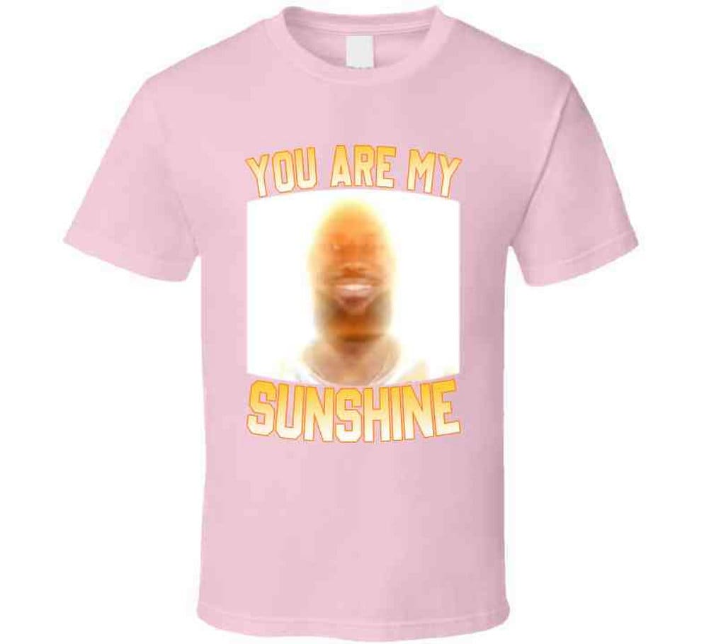 You Are My Sunshine Lebron Funny Tiktok Meme Joke Gift T Shirt - Etsy
