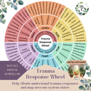 Trauma Response Behavior Wheel in Rainbow Color, Emotion Wheel ...