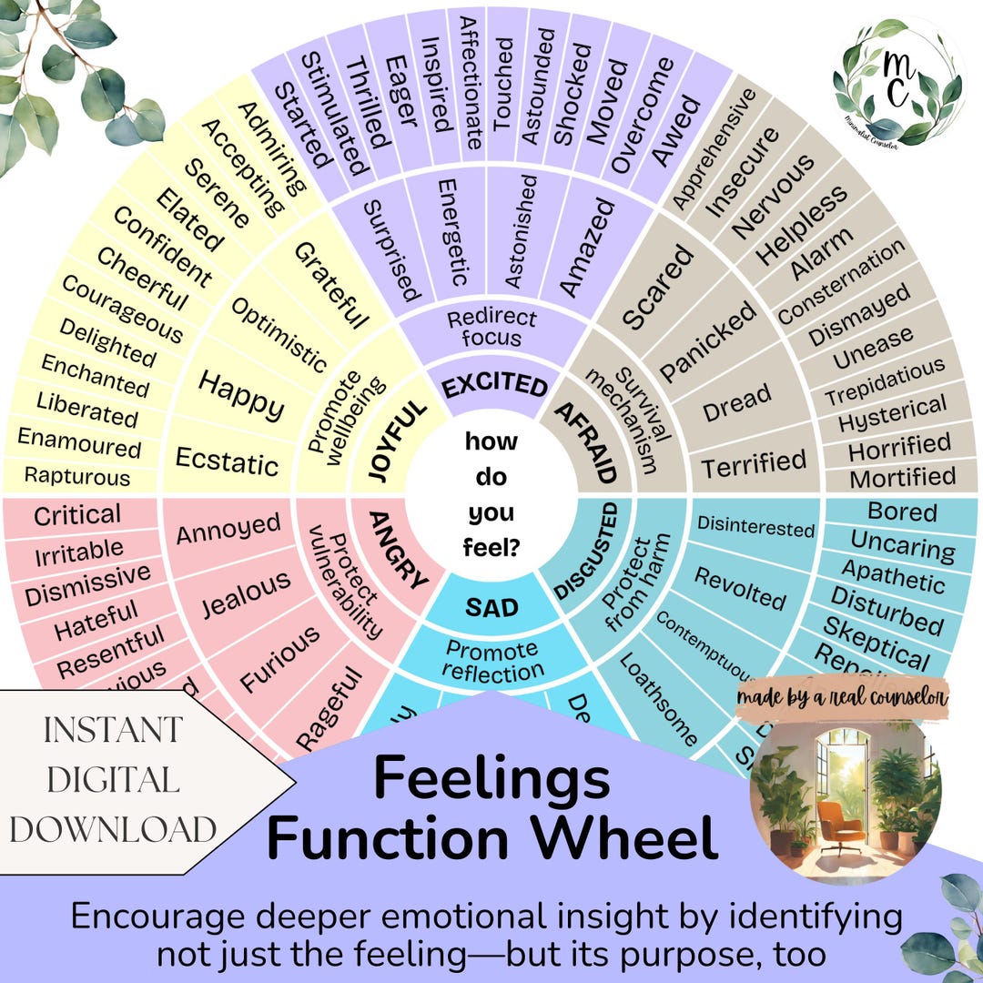 Feelings Wheel, Emotions Poster, Zones of Regulation, Mental Health ...