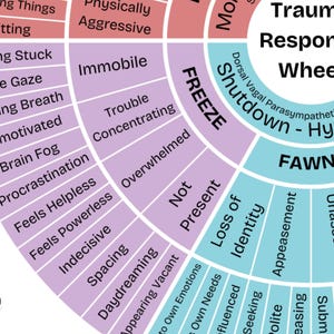 Trauma Response Behavior Wheel in Rainbow Color, Emotion Wheel ...
