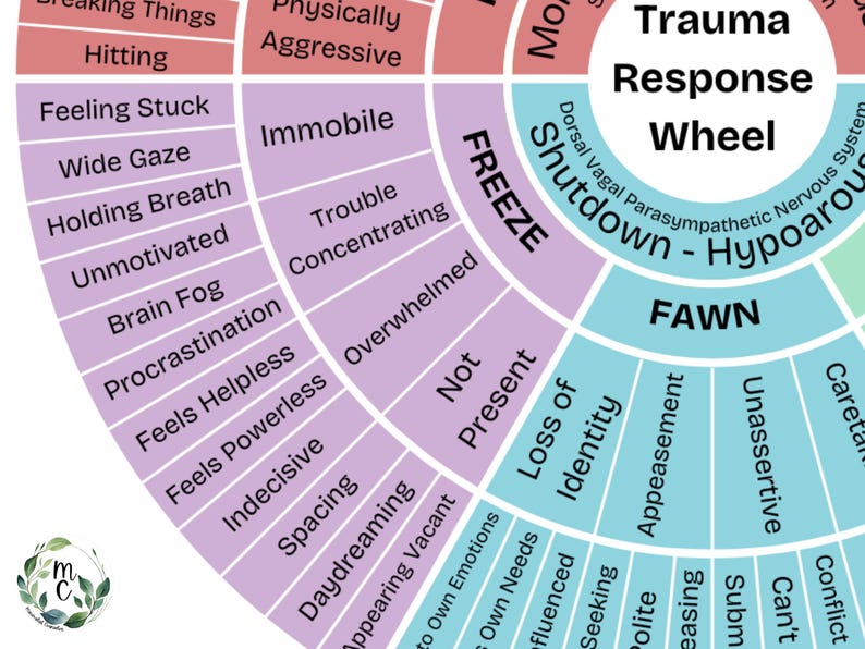 Trauma Response Behavior Wheel in Rainbow Color, Emotion Wheel ...
