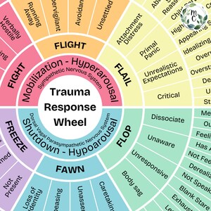 Trauma Response Behavior Wheel Rainbow, Feelings Wheel, Emotion Wheel ...