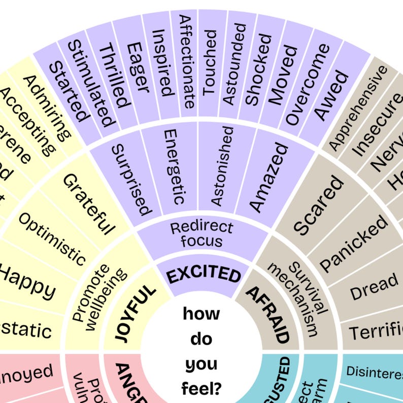 Feelings Wheel, Emotions Poster, Zones of Regulation, Mental Health ...