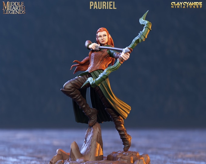 Sia the Elf Barbarian Nerikson Wargaming D&D Dnd - Etsy