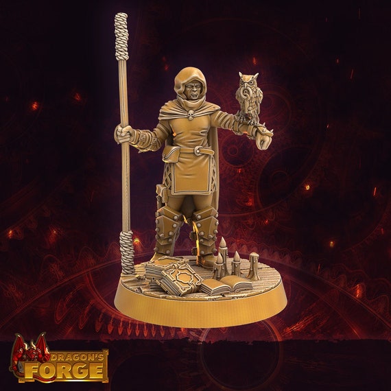 Female Rogue Miniature With Owl 9 Poses 32mm Scale - Etsy