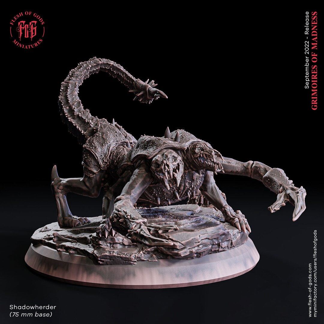 Dnd Shadowherder Monster Miniature Shadow Miniature | 75mm Base | Dnd ...