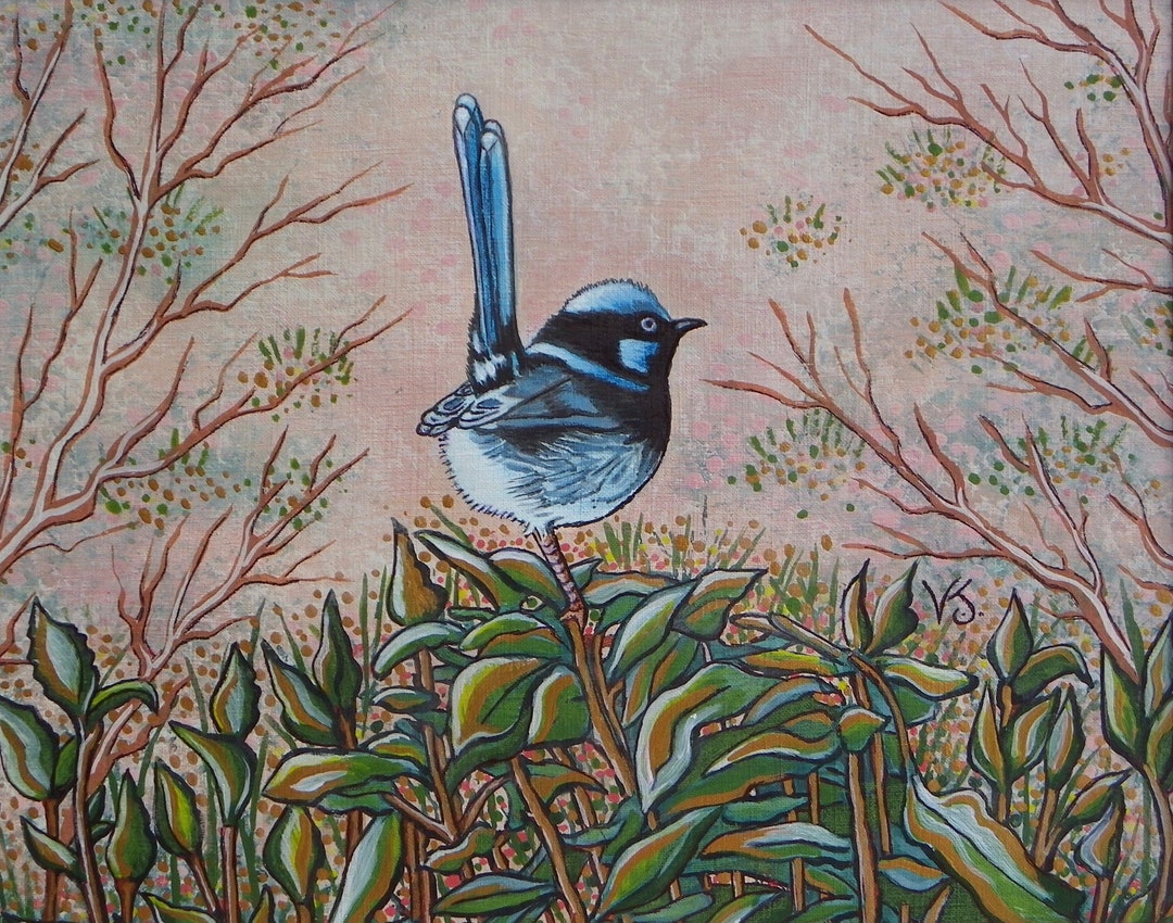 Superb Fairy Wren A4 Print - Etsy