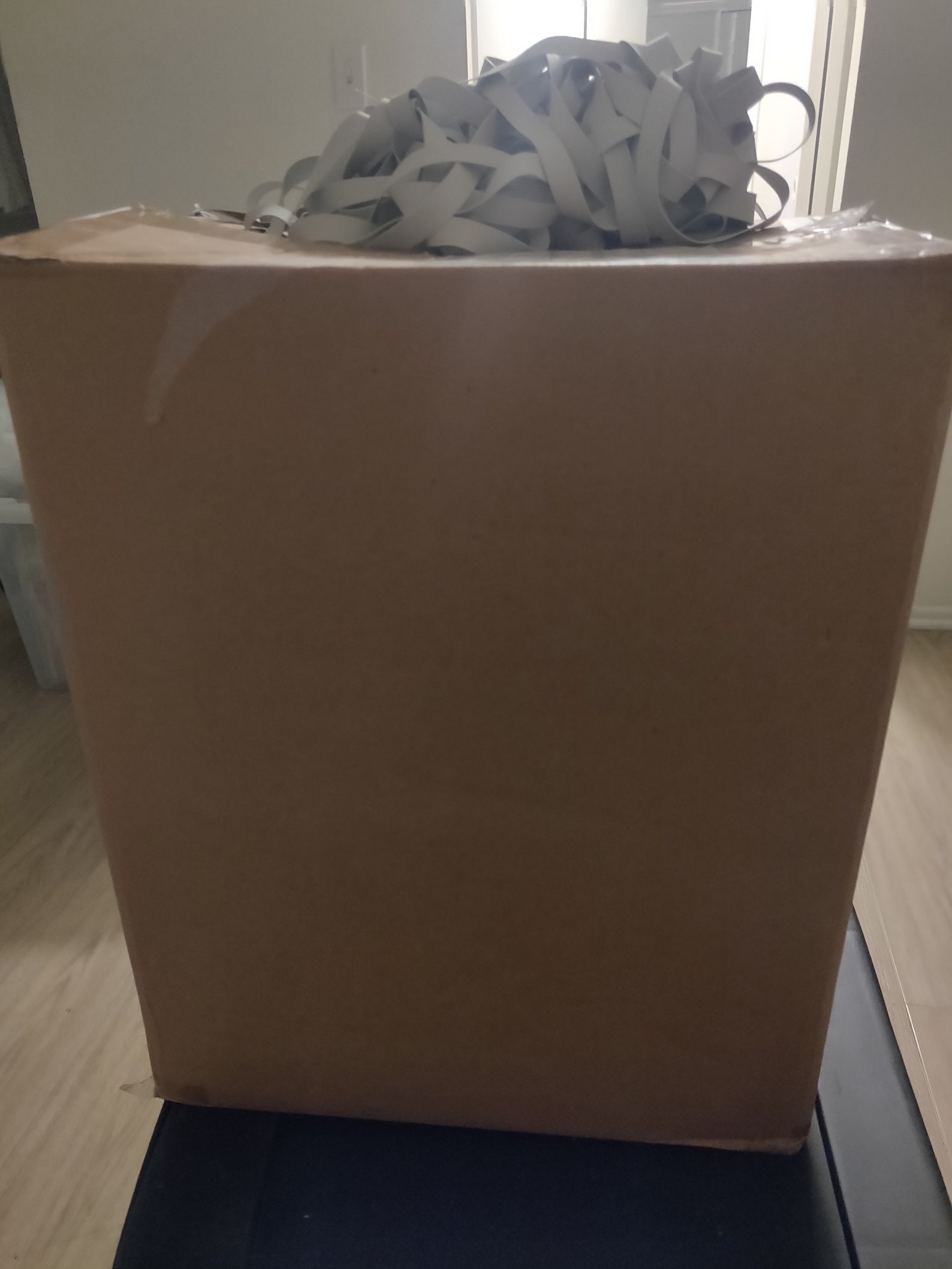 Fullflex Elastic/strip Rubber/swimsuit Elastic - Etsy