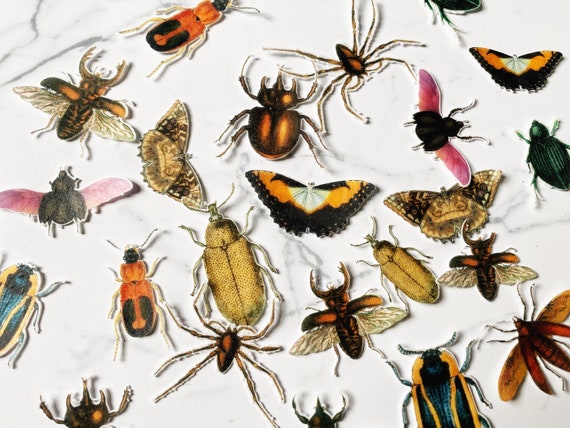 Pack of 20 Wafer Die Cut Creepy Bugs Edible | Etsy