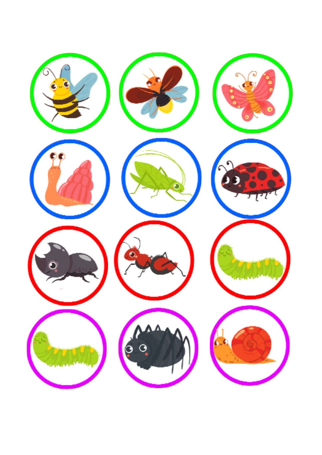 Insect Edible Toppers, Cute Insect Edible Image Toppers, Icing Sheets ...