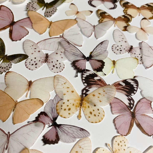 Wafer Paper Butterflies - Etsy