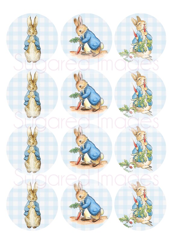Peter Rabbit Toppers Edible Icing Sheet | Etsy