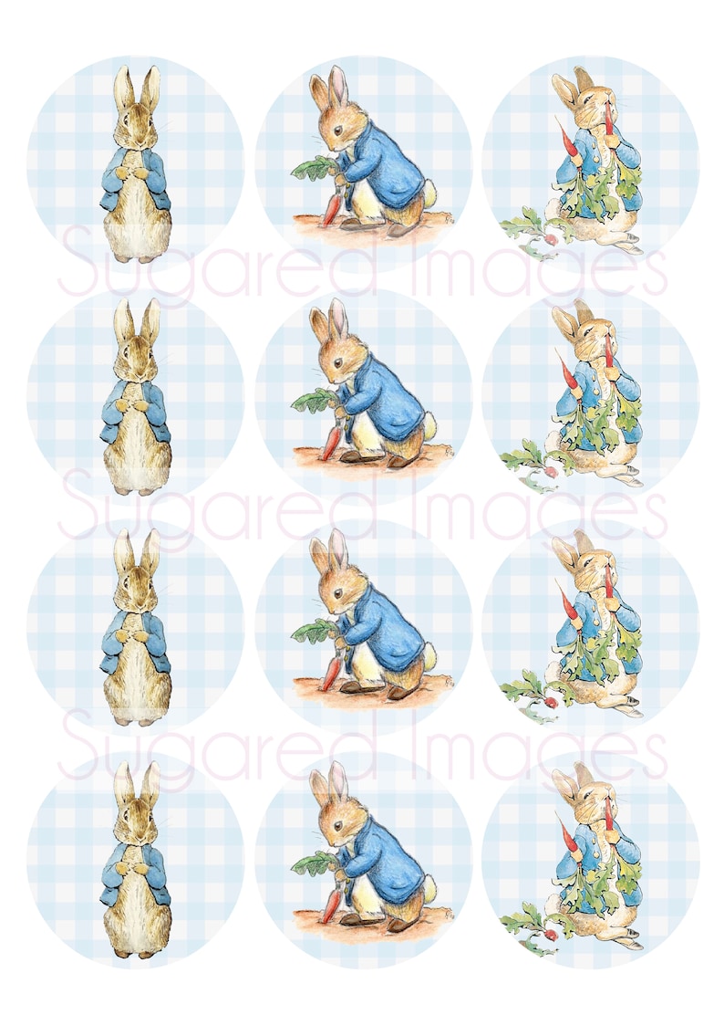 Peter Rabbit Toppers - Edible Icing Sheet - Etsy