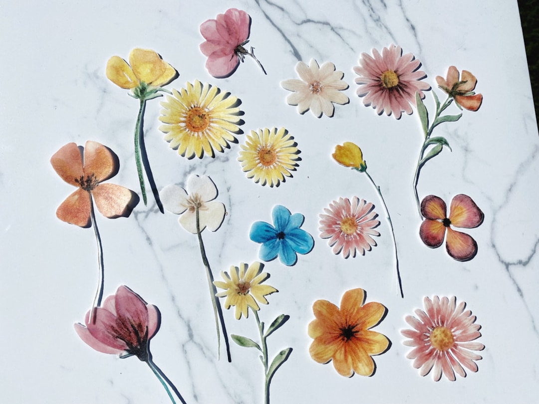 Pack of 15 Edible Die Cut Wafer Pressed Dried Flowers, Wafer Paper ...