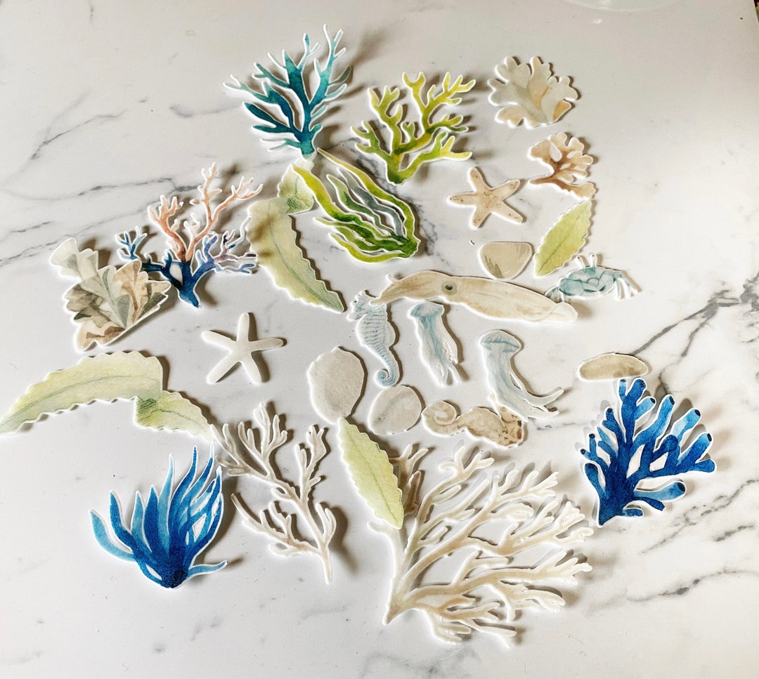 Pack of 25 Wafer Die Cut Under the Sea Coral Mix - Edible - Etsy