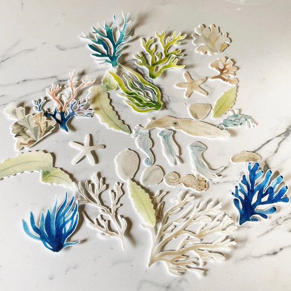 Edible Coral for Cake - Etsy