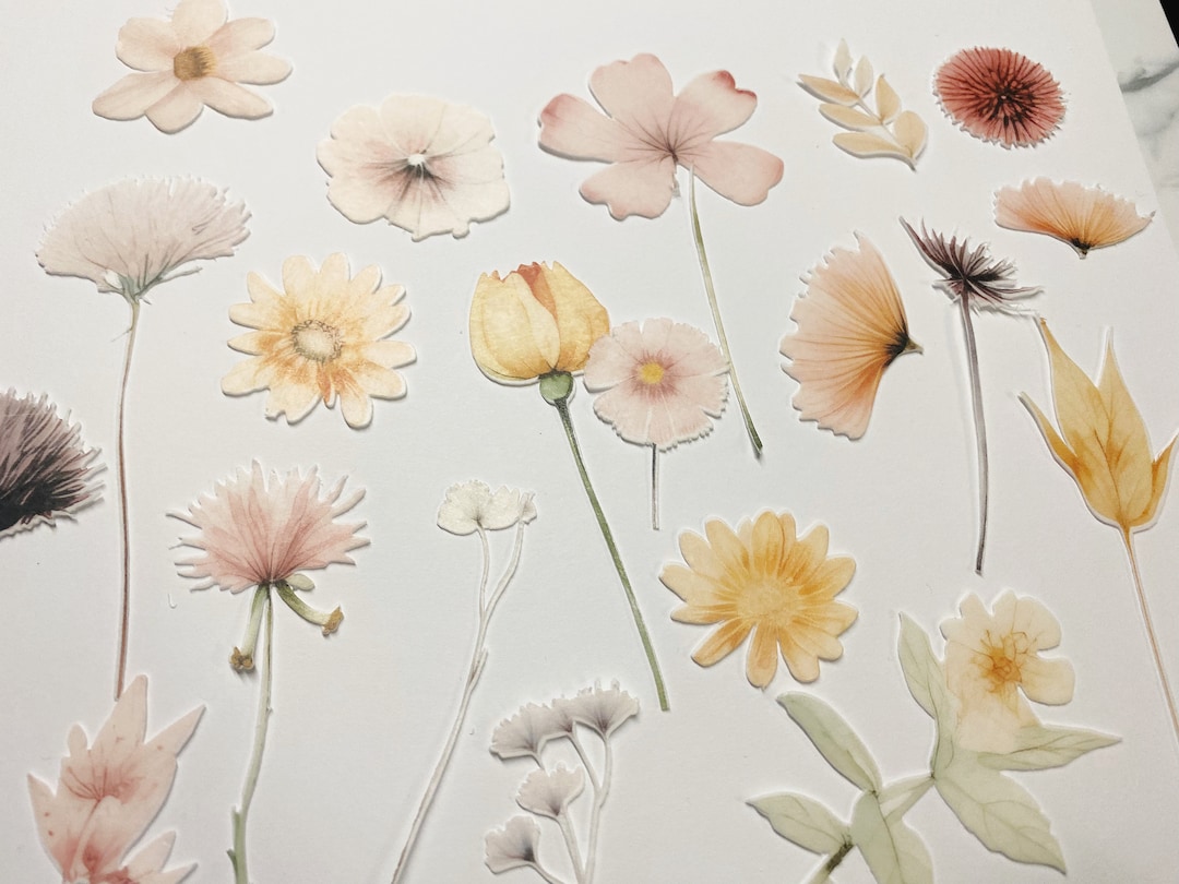 Pack of 18 Edible Die Cut Wafer Pressed Dried Flowers, Bpho Wafer Paper ...