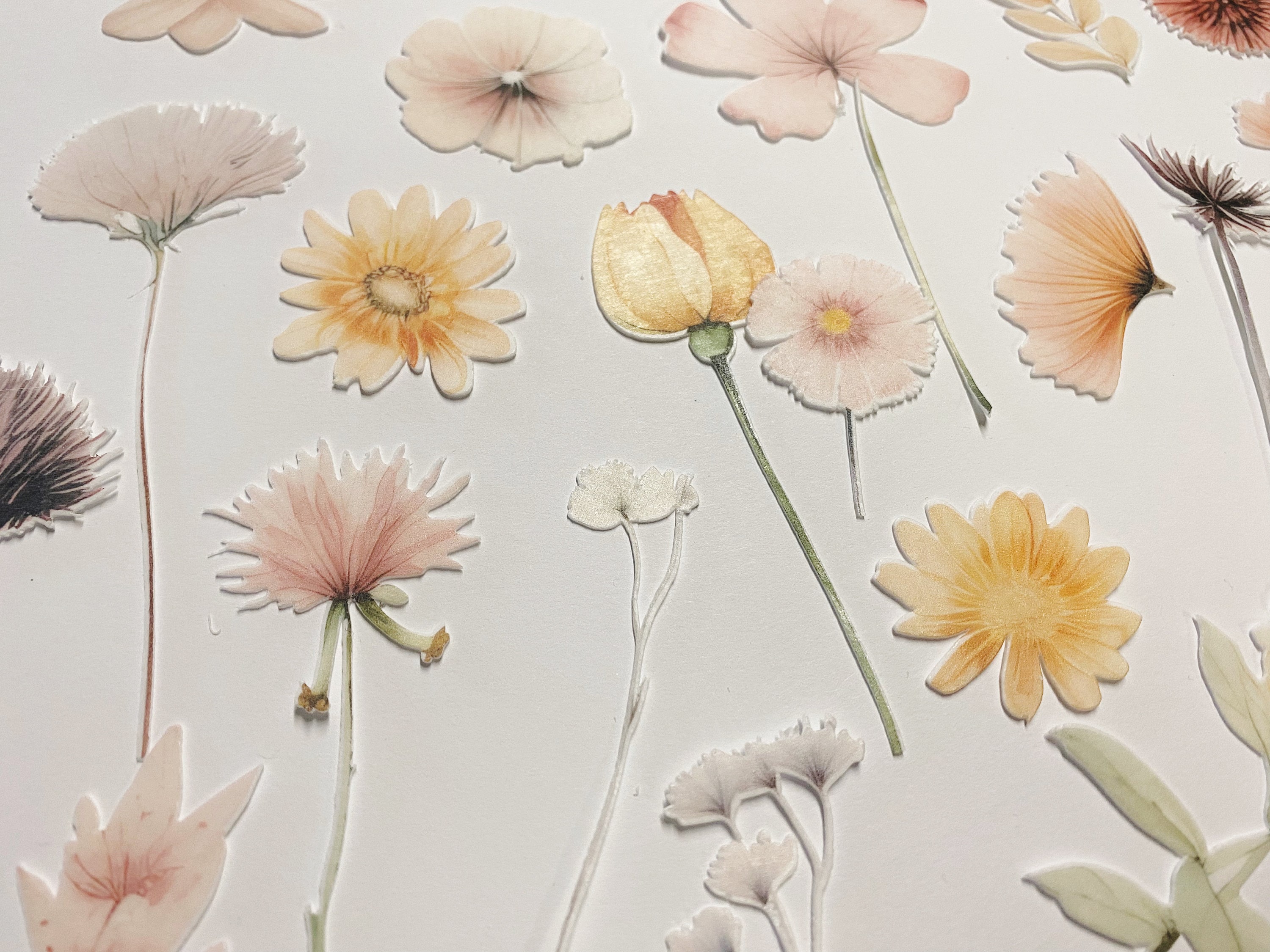 Pack of 18 Edible Die Cut Wafer Pressed Dried Flowers, Bpho Wafer Paper ...