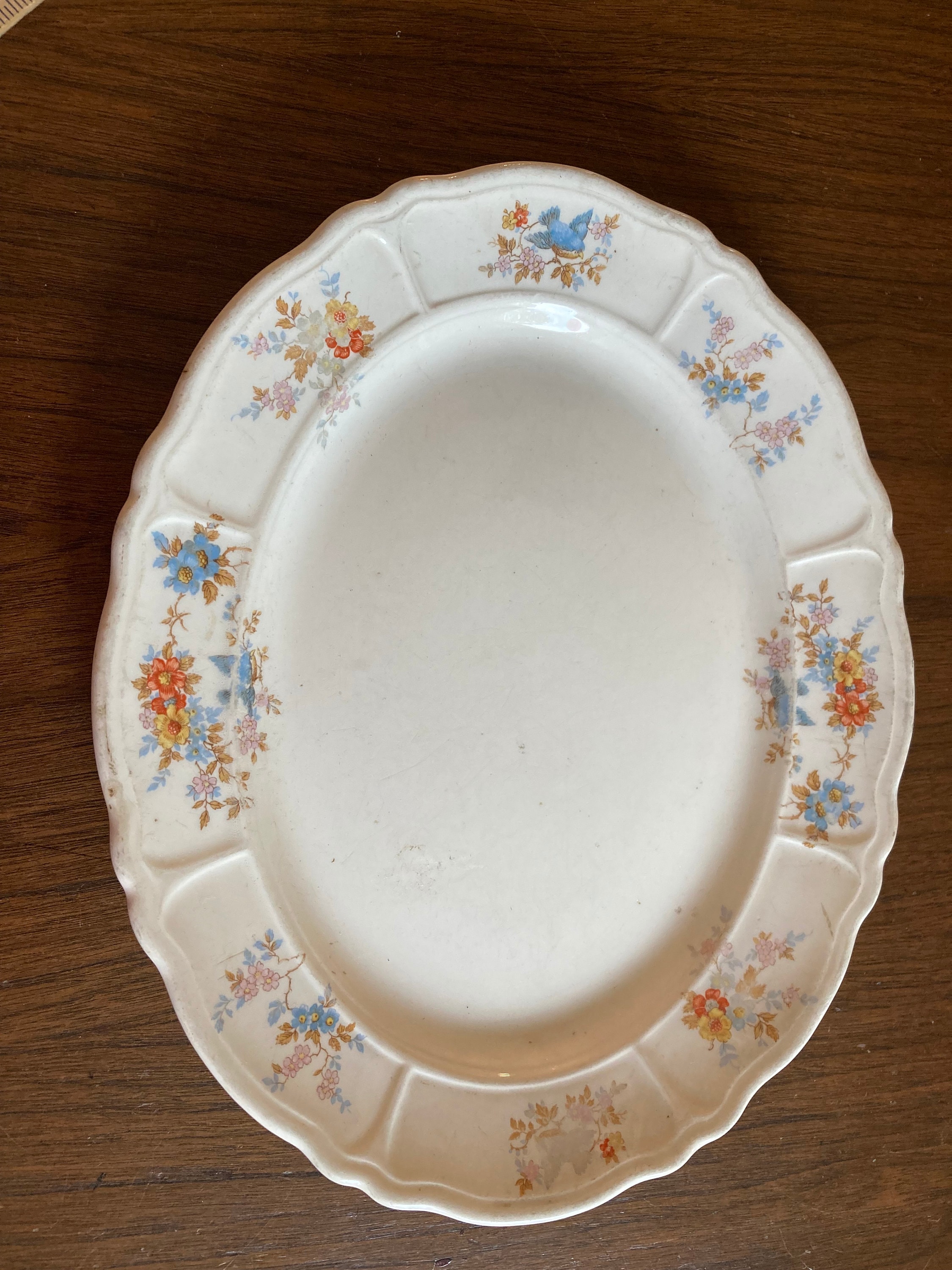 Vintage Homer Laughlin Bluebird Platter Vintage Bird Platter - Etsy