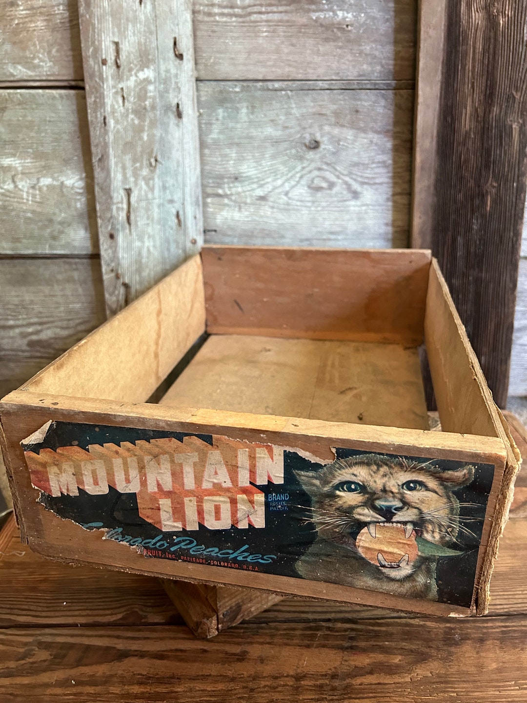 Vintage Mountain Lion Peach Crate, Vintage Crate, Peach Crate - Etsy