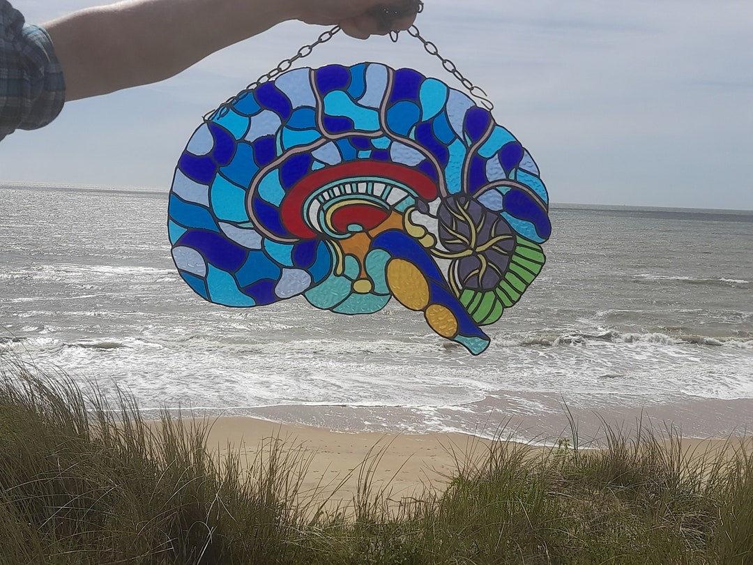 Stained Glass Brain - Etsy