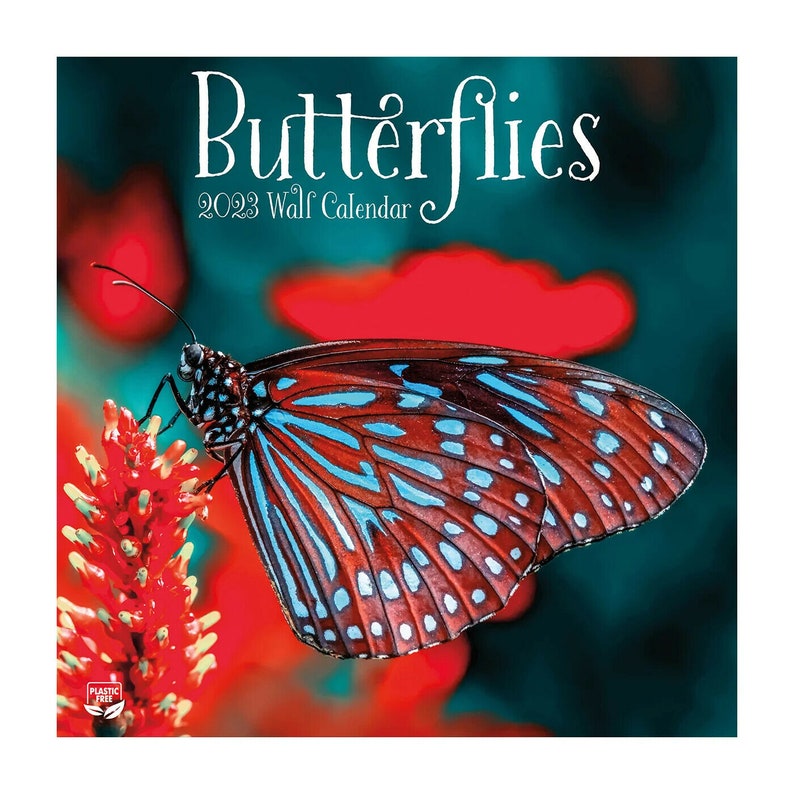 Turner Butterflies 2023 Wall Calendar Etsy Australia