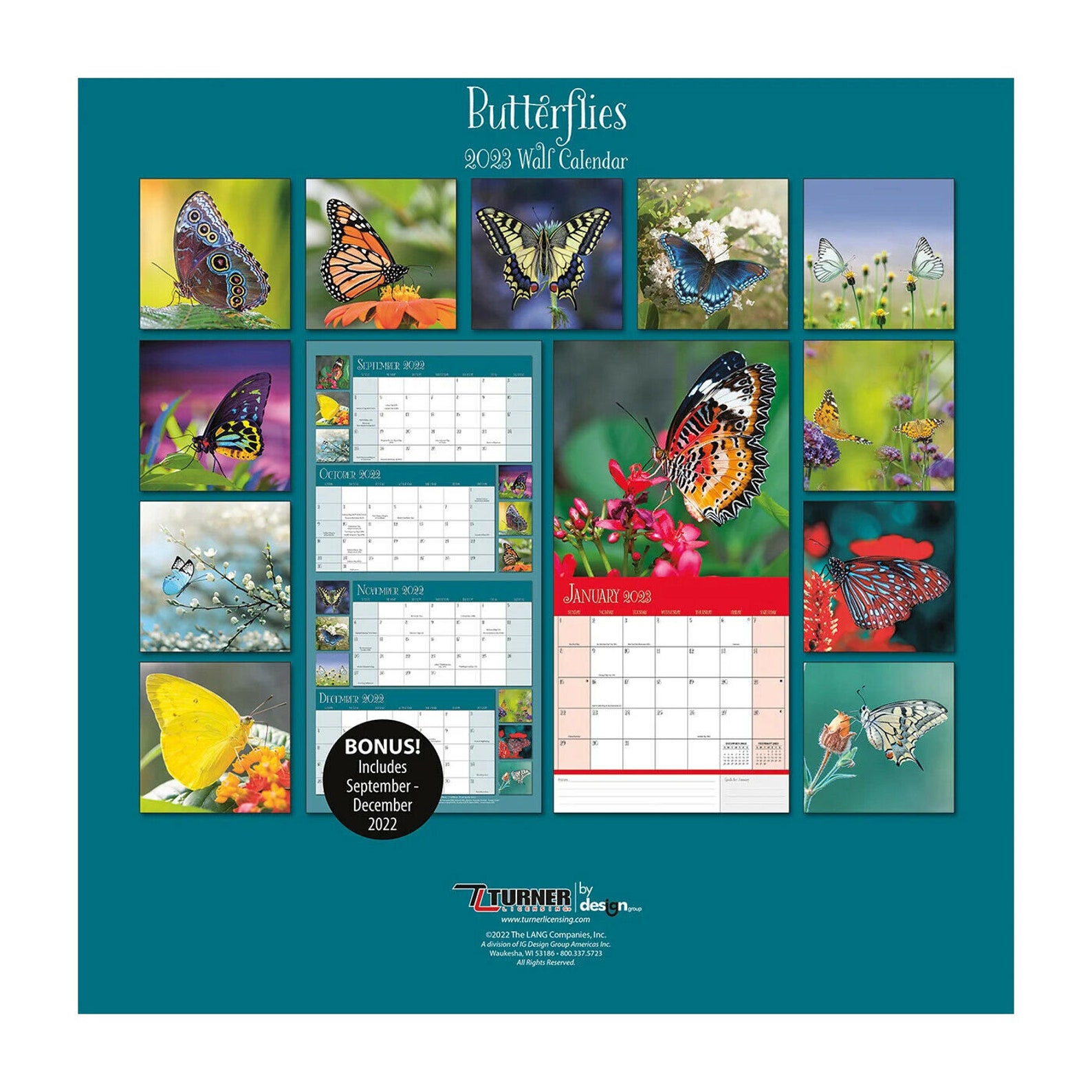 Turner Butterflies 2023 Wall Calendar Etsy