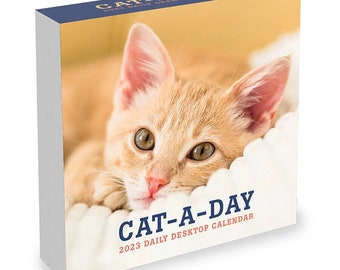 Daily Cat Desk Calendar - Etsy