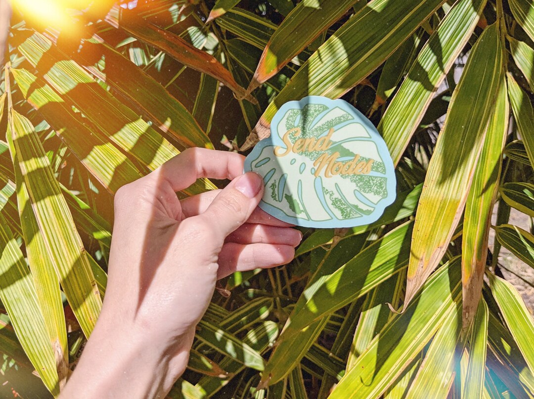 Send Nodes Monstera Plant Sticker: Funny Houseplant Pun - Etsy