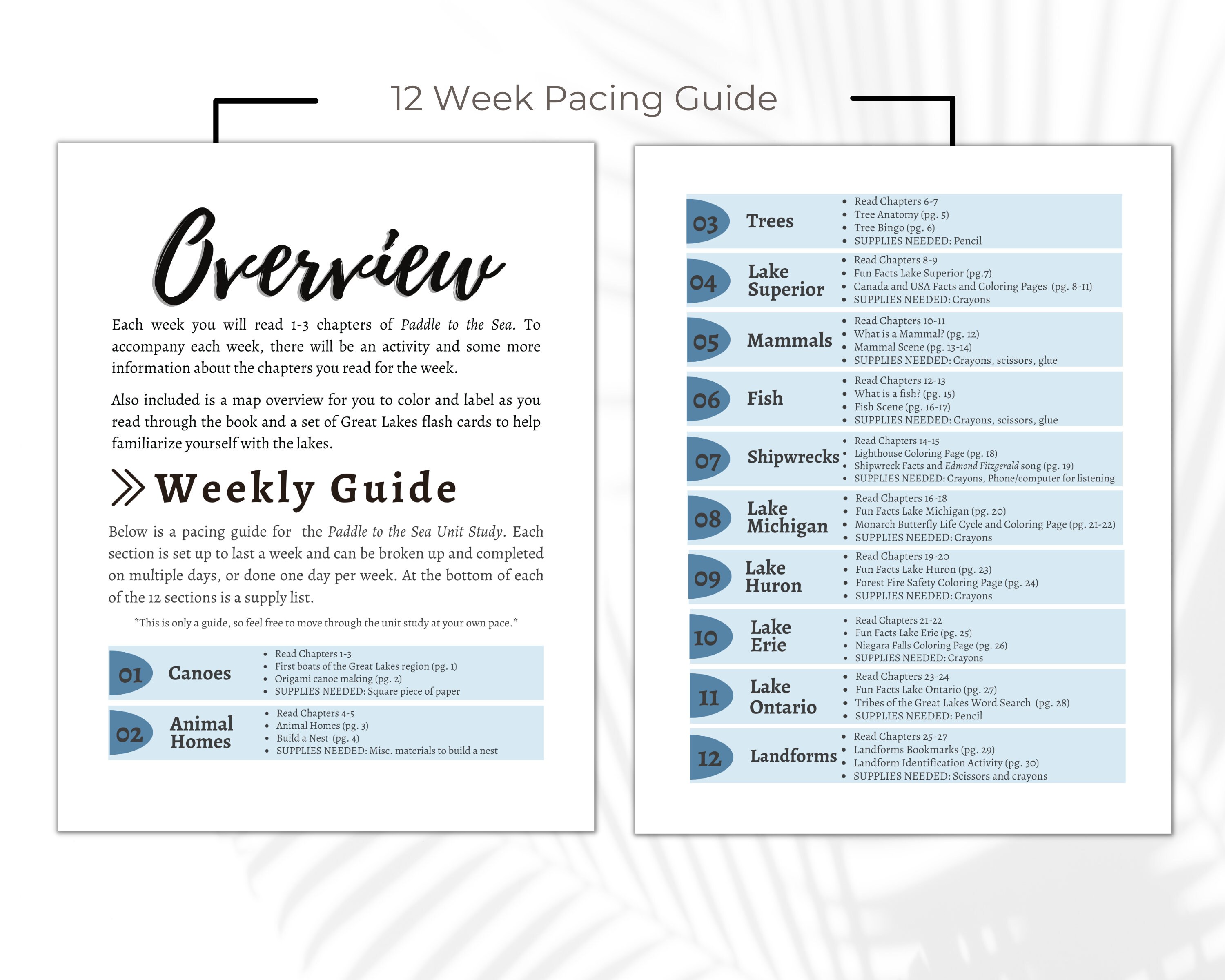 Paddle to the Sea and Seabird Unit Study, Charlotte Mason Geography ...