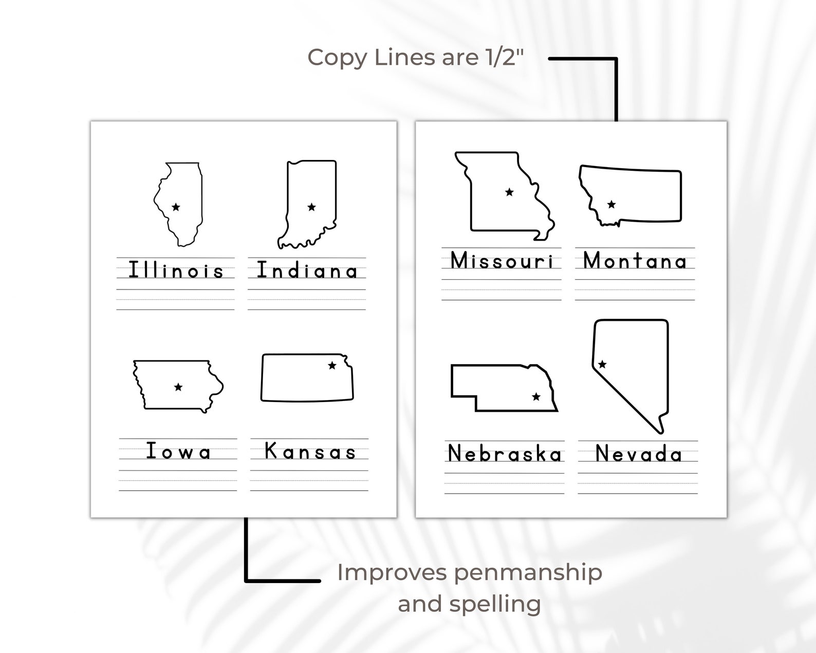 US States and Capitals Print Copywork and Flashcards - Etsy