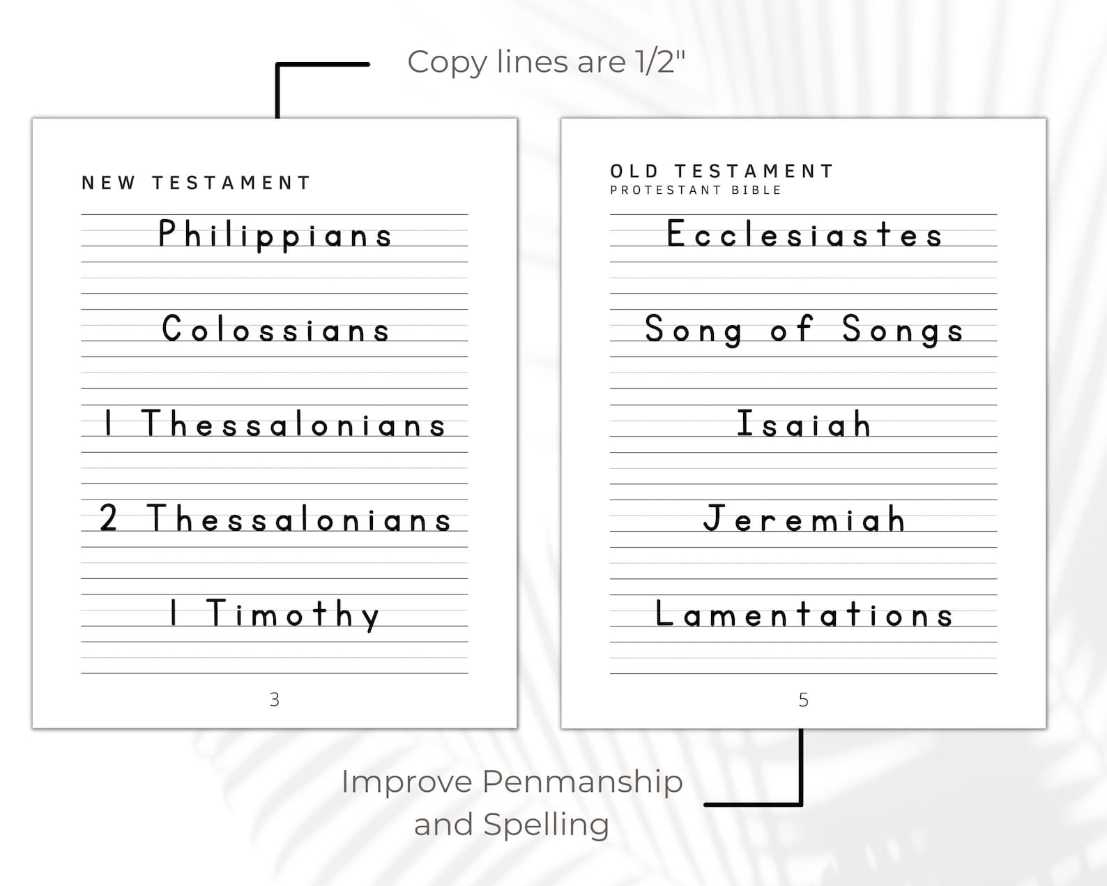 Books of the Bible Print Copywork, Homeschool Handwriting Practice ...