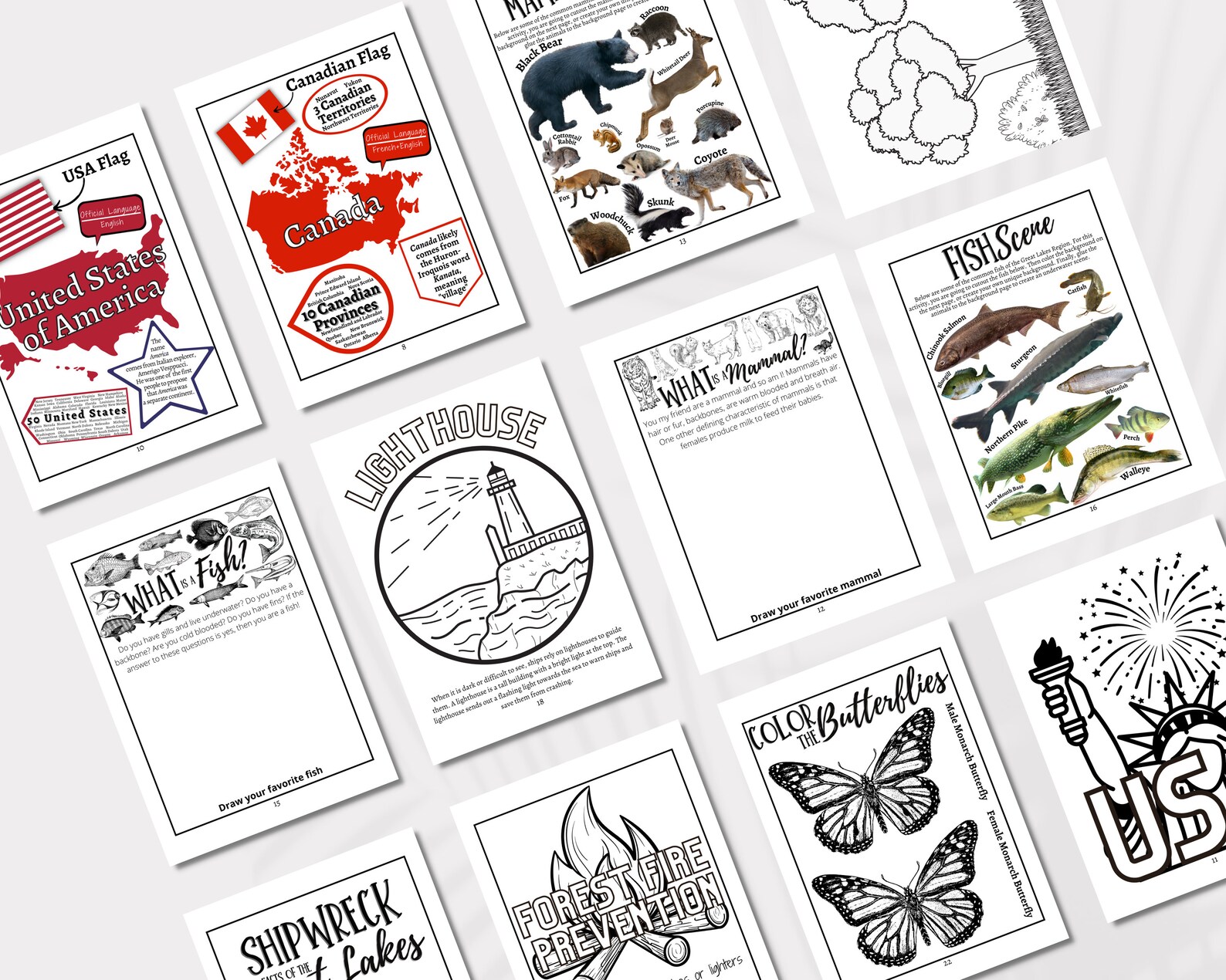 Paddle to the Sea Unit Study, Charlotte Mason Geography Homeschool ...