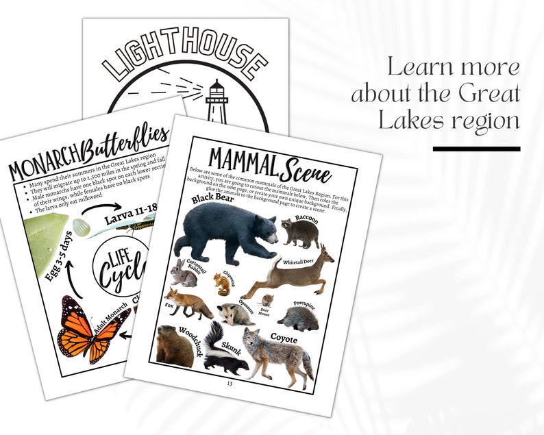 Paddle to the Sea Unit Study, Charlotte Mason Geography Homeschool ...