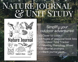 Nature Journal Worksheet for Kids Printable Instant Download - Etsy Canada