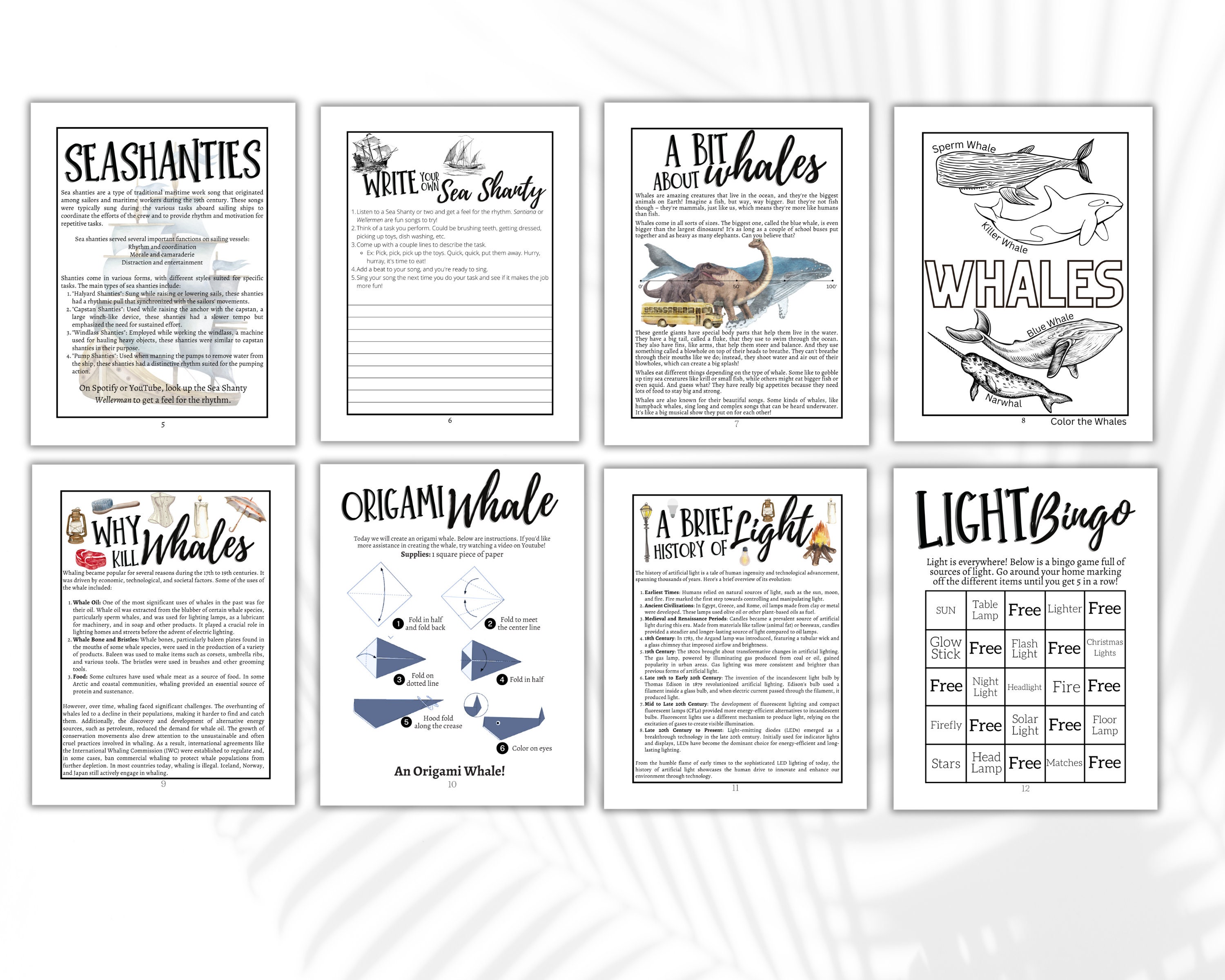 Paddle to the Sea and Seabird Unit Study, Charlotte Mason Geography ...