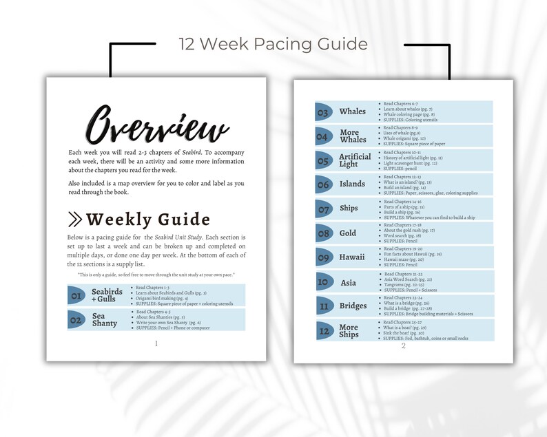 Paddle to the Sea and Seabird Unit Study, Charlotte Mason Geography ...