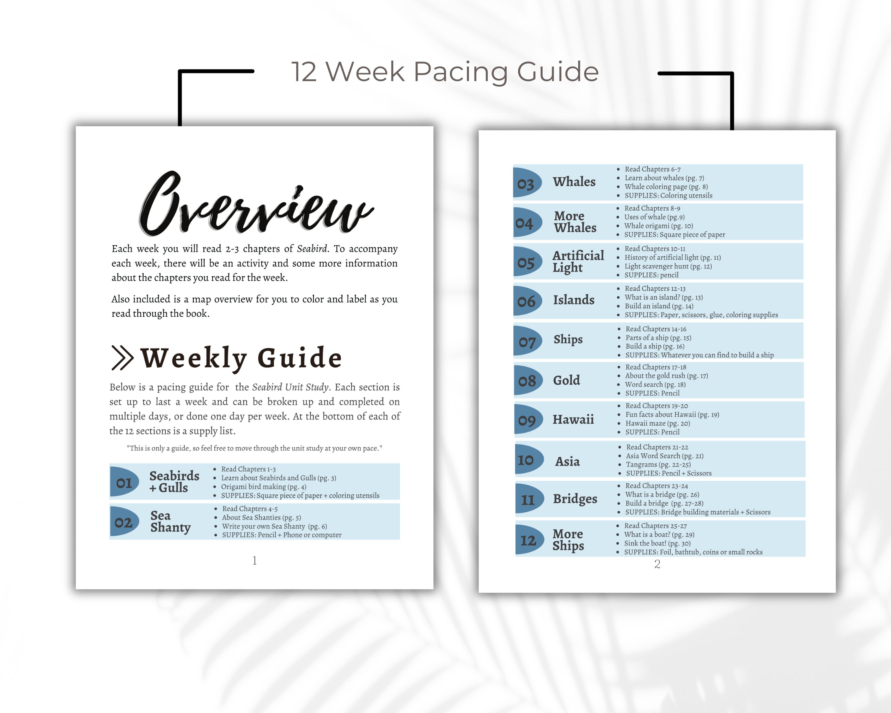 Paddle to the Sea and Seabird Unit Study, Charlotte Mason Geography ...