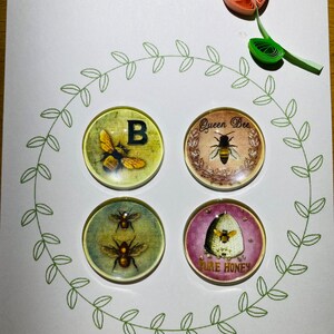 Bee Bunco Decor - Etsy