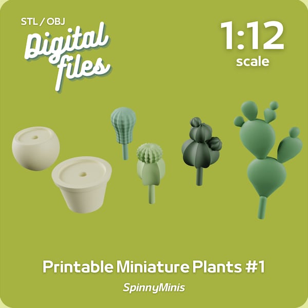 Miniature Cactus - Etsy