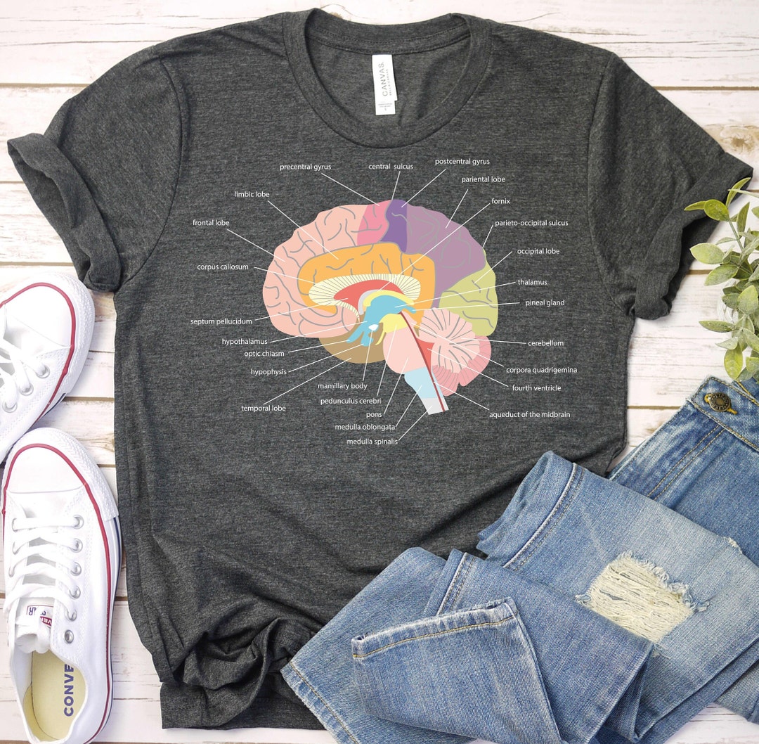 Human Anatomy Brain Shirt,neurologist Shirt,nursing School Shirt,nurse ...