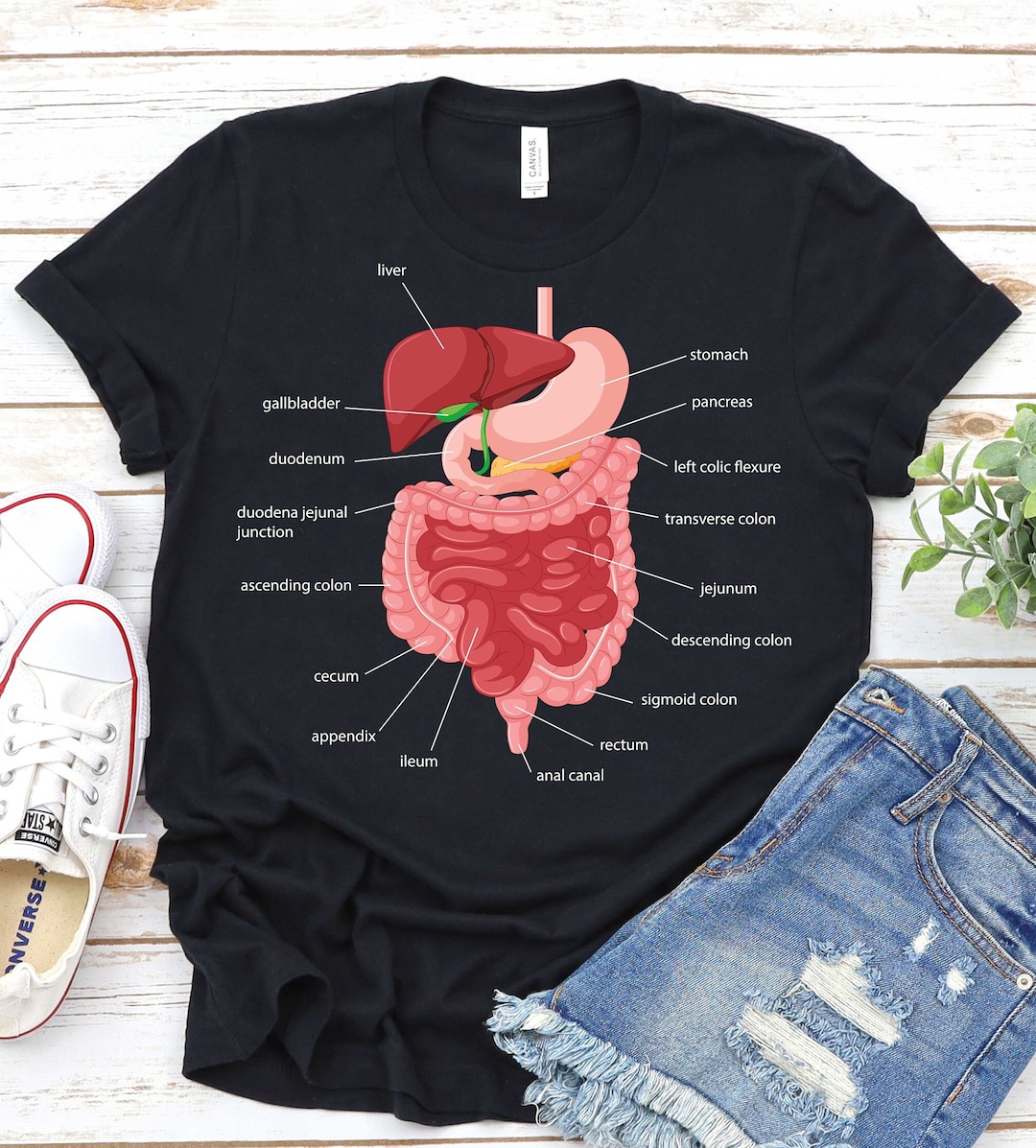 Biology Teacher Shirt,anatomical Chart Digestive System Shirt,human ...