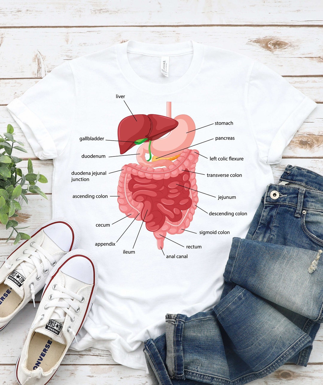 Biology Teacher Shirt,endoscopy Tech Nurse Shirt,human Body Digestive ...